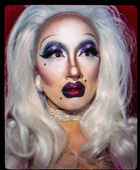 Influencers GIFs - Get the best gif on GIFER