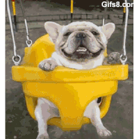 Retrospective GIFs - Get the best gif on GIFER