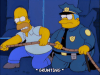 Pull GIFs - Get the best gif on GIFER