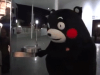 Kumamon GIFs - Get the best gif on GIFER