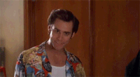 Meadow GIFs - Get the best gif on GIFER