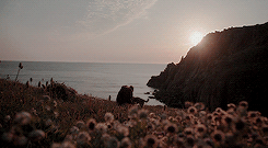 Toe GIF - Conseguir o melhor gif em GIFER