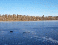 Snowmobile GIFs - Get the best gif on GIFER