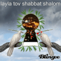 Shalom GIFs - Get the best gif on GIFER