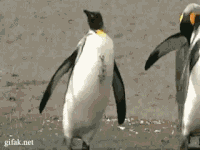 Stumble GIFs - Get the best gif on GIFER