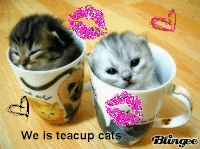 Teacup GIFs - Get the best gif on GIFER