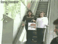 Ladder GIFs - Get the best gif on GIFER