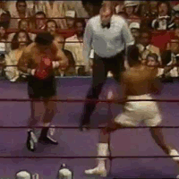 Boxing GIFs - Get the best gif on GIFER