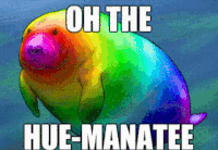 Puns GIFs - Get the best gif on GIFER