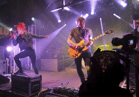 Acer GIFs - Get the best gif on GIFER