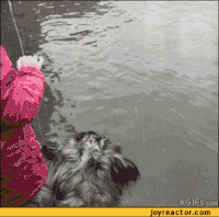 Nvm GIFs - Get the best gif on GIFER