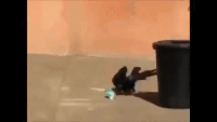 Collecting GIFs - Get the best gif on GIFER