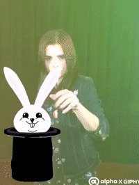 Wt GIFs - Get the best gif on GIFER