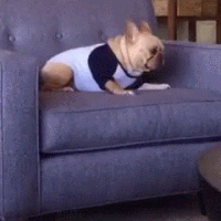 Moods GIFs - Get the best gif on GIFER
