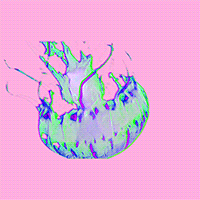 Jellyfishes GIFs - Get the best gif on GIFER
