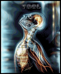 Tools GIFs - Get the best gif on GIFER