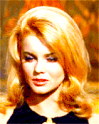 1k GIFs - Get the best gif on GIFER