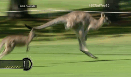 Delay GIFs - Get the best gif on GIFER