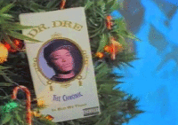 Chronic GIFs - Get the best gif on GIFER