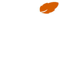 Leaf GIFs - Get the best gif on GIFER