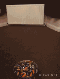 Tache GIFs - Get the best gif on GIFER