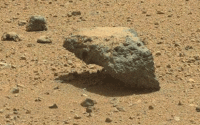 Curiosity GIFs - Get the best gif on GIFER