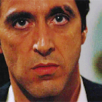 Scarface GIFs - Get the best gif on GIFER