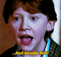 Ronald bilius weasley GIFs - Get the best gif on GIFER