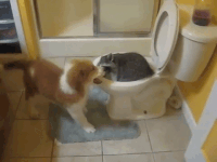 Afv GIFs - Get the best gif on GIFER