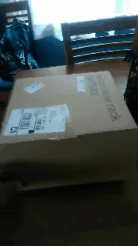 Package GIFs - Get the best gif on GIFER