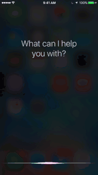 Siri GIFs - Get the best gif on GIFER