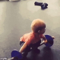 Beginner GIFs - Get the best gif on GIFER