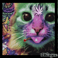 Drogas GIFs - Get the best gif on GIFER