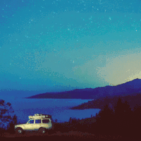 Fog GIFs - Get the best gif on GIFER