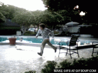 Plonge гифки, анимированные GIF изображения plonge - скачать гиф ...