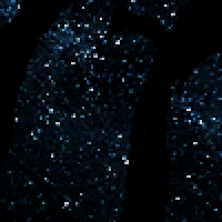 Scribe GIFs - Get the best gif on GIFER