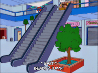 Raft GIFs - Get the best gif on GIFER