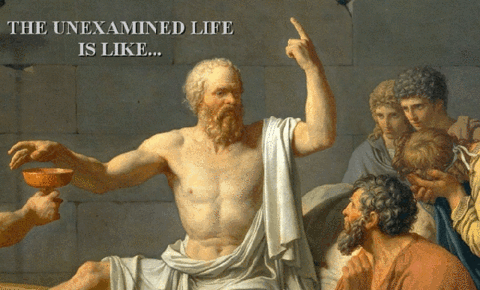 Philosopher гифки, анимированные GIF изображения philosopher - скачать ...