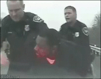 Evidence GIFs - Get the best gif on GIFER