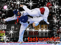 Taekwondo GIFs - Get the best gif on GIFER