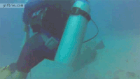 Scuba GIFs - Get the best gif on GIFER