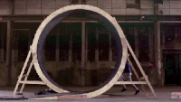 Runner GIFs - Get the best gif on GIFER