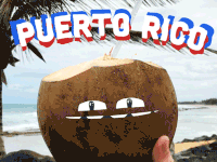 Rico GIFs - Get the best gif on GIFER