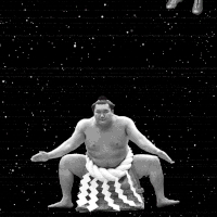 Sumo GIFs - Get the best gif on GIFER