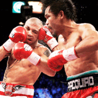 Manny GIFs - Get the best gif on GIFER