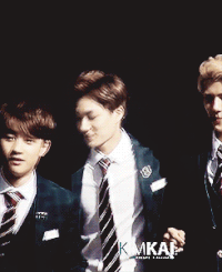 Galloping GIFs - Get the best gif on GIFER