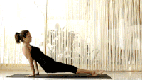 Fitness GIFs - Get the best gif on GIFER