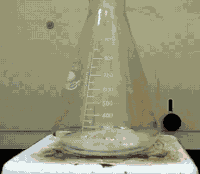 Physique GIFs - Get the best gif on GIFER