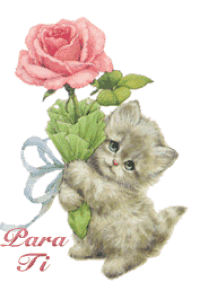 Rosa GIFs - Get the best gif on GIFER