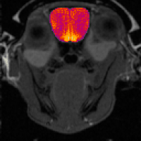 Resonance GIFs - Get the best gif on GIFER